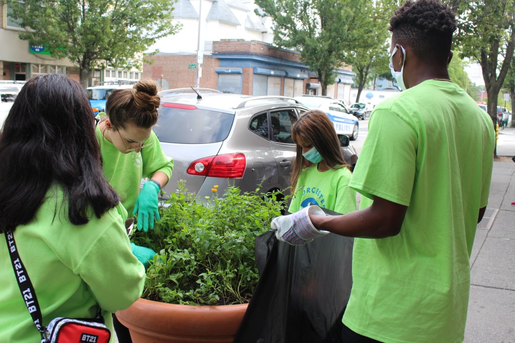 Worcester Green Corps