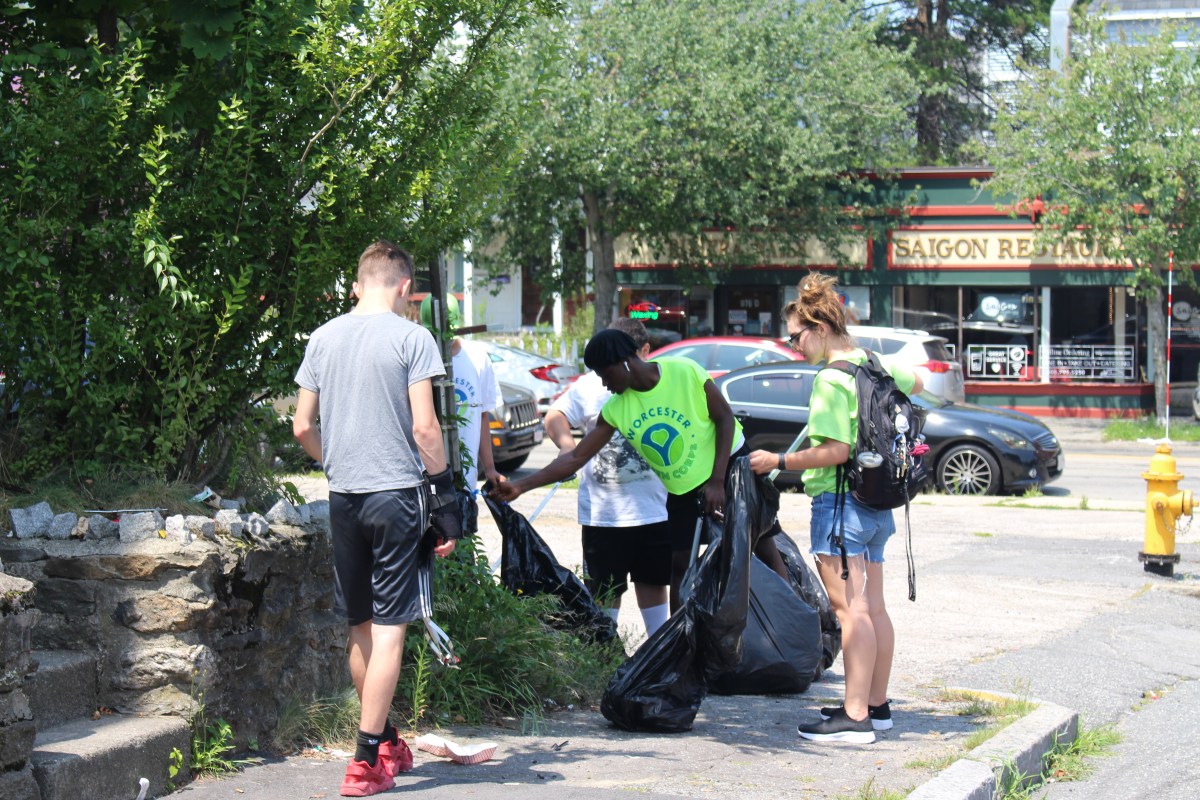 Get Involved – Worcester Green Corps